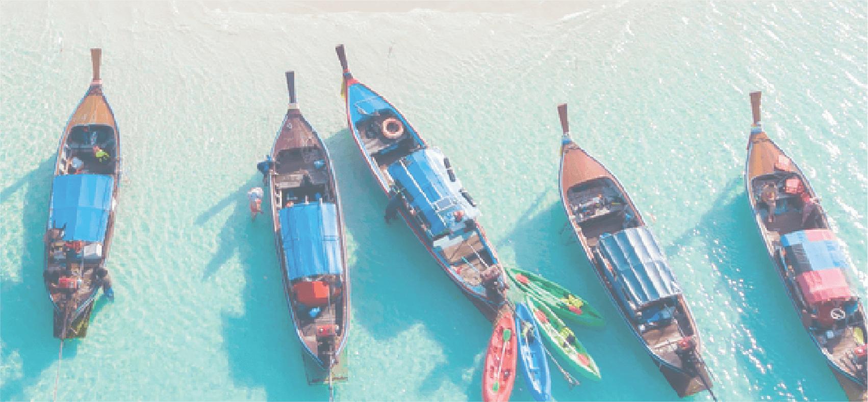 Luma Health Insurance - Brighter Health for Everyone