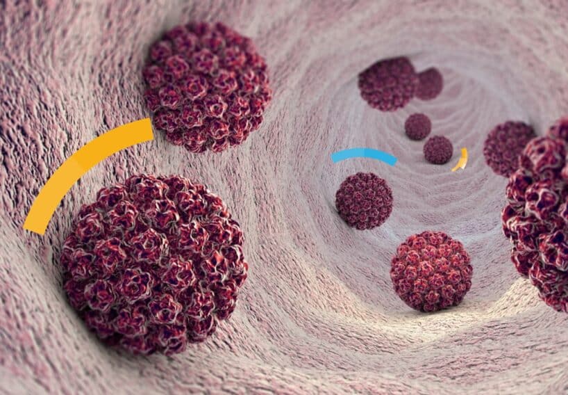 What are the HPV Symptoms, Risks, and Preventions