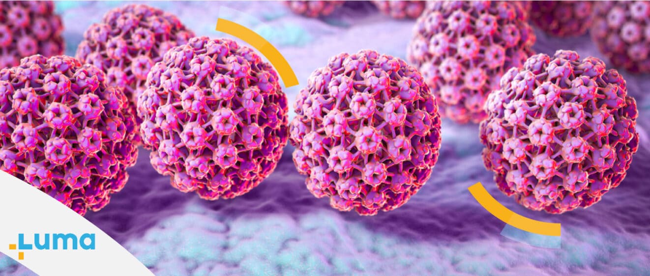 HPV คืออะไร อาการ เป็นอย่างไร ควรทำความเข้าใจให้ดี | LUMA