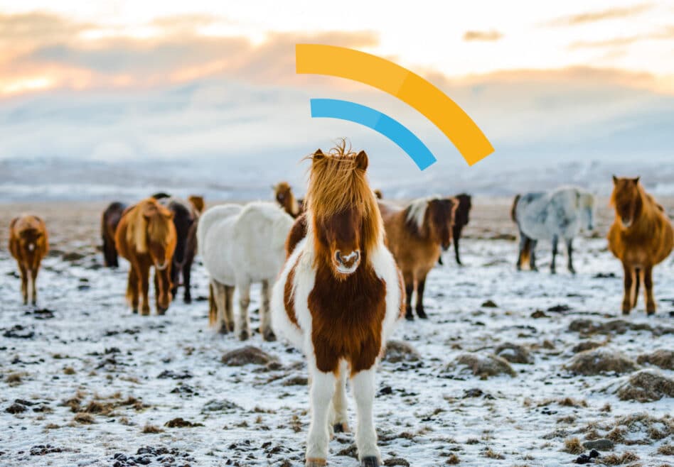 Guide for Iceland Visa Requirements | LUMA