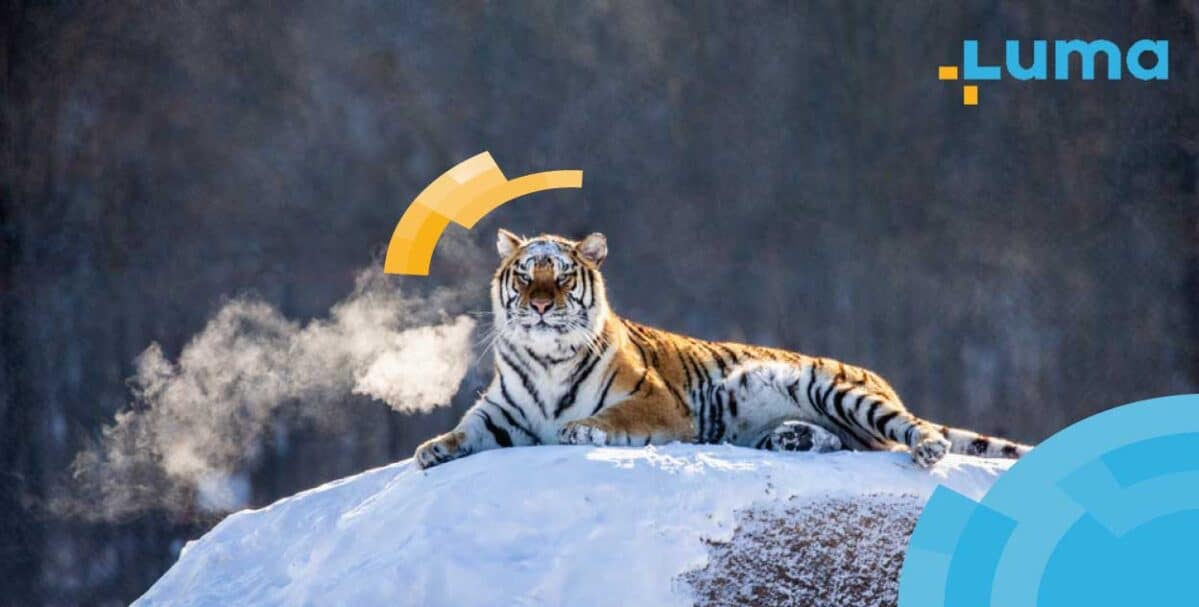 เที่ยวฮาร์บินช่วงไหนดีสุด สัมผัสอากาศหนาวสะใจห้ามพลาด - LUMA