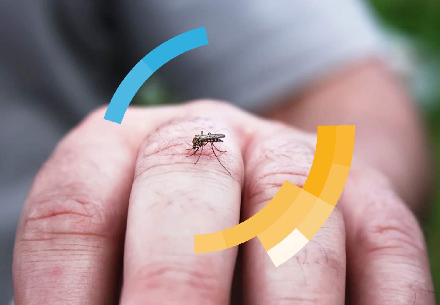 Dengue Fever in Thailand: Symptoms and Signs | LUMA